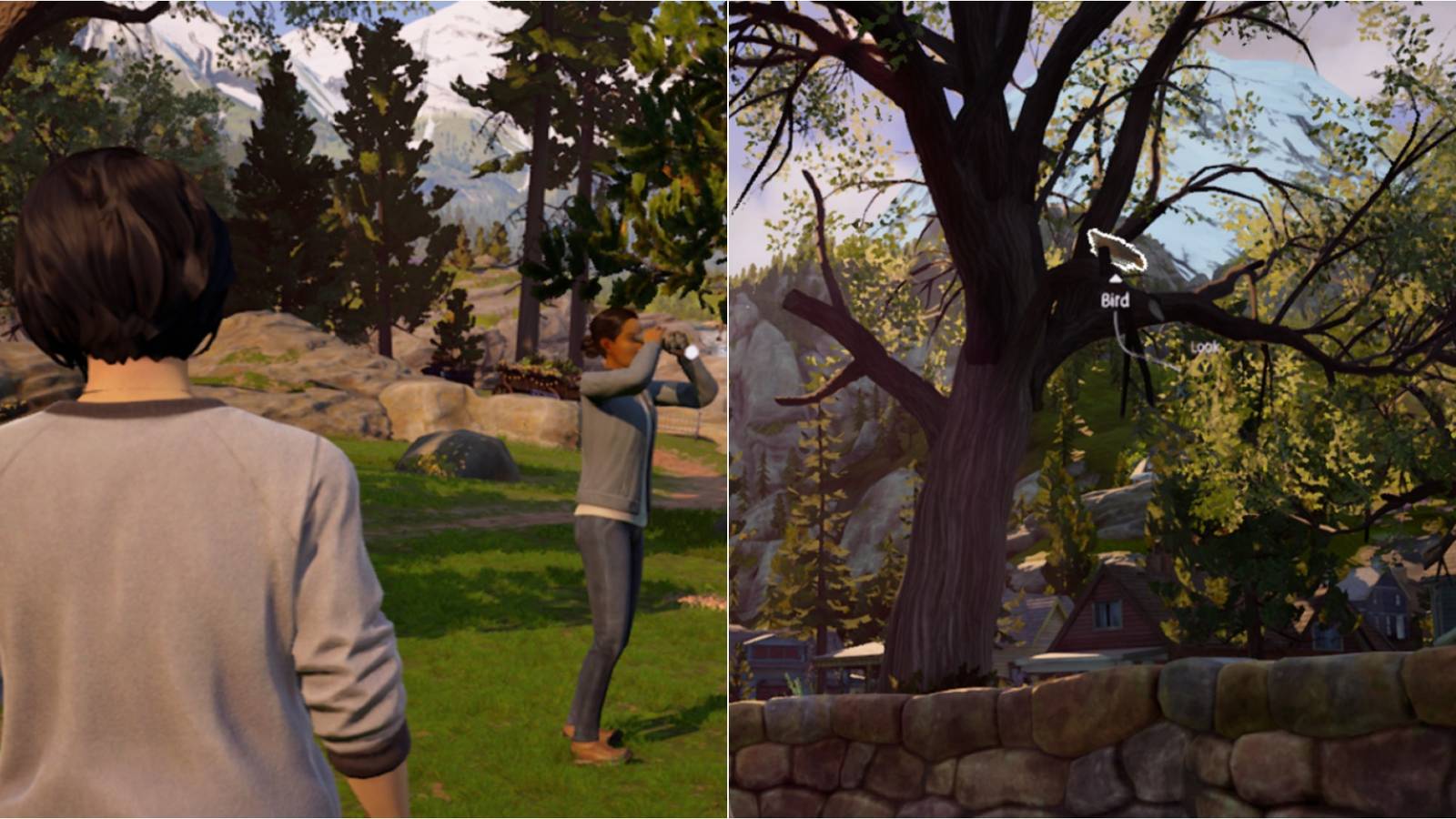 Life Is Strange: True Colors - How To Help The Birdwatcher