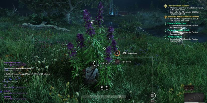 Where To Find Hemp In New World