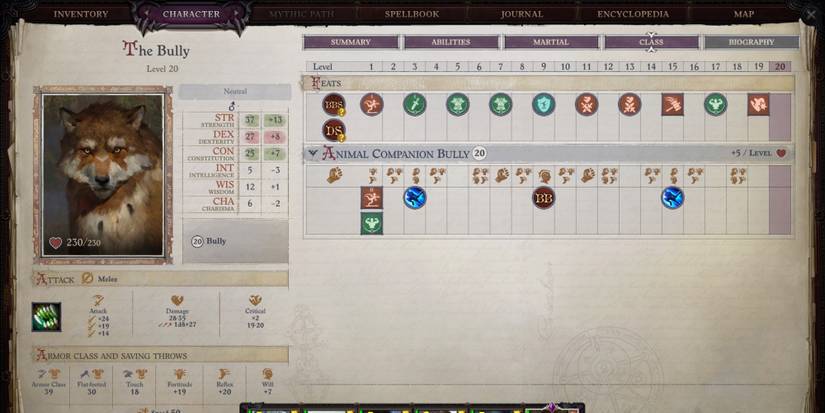 The Best Builds For Seelah In Pathfinder: Wrath of the Righteous