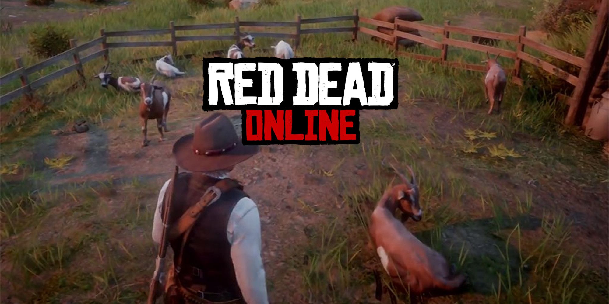 Where To Find Apline Goats In Red Dead Online