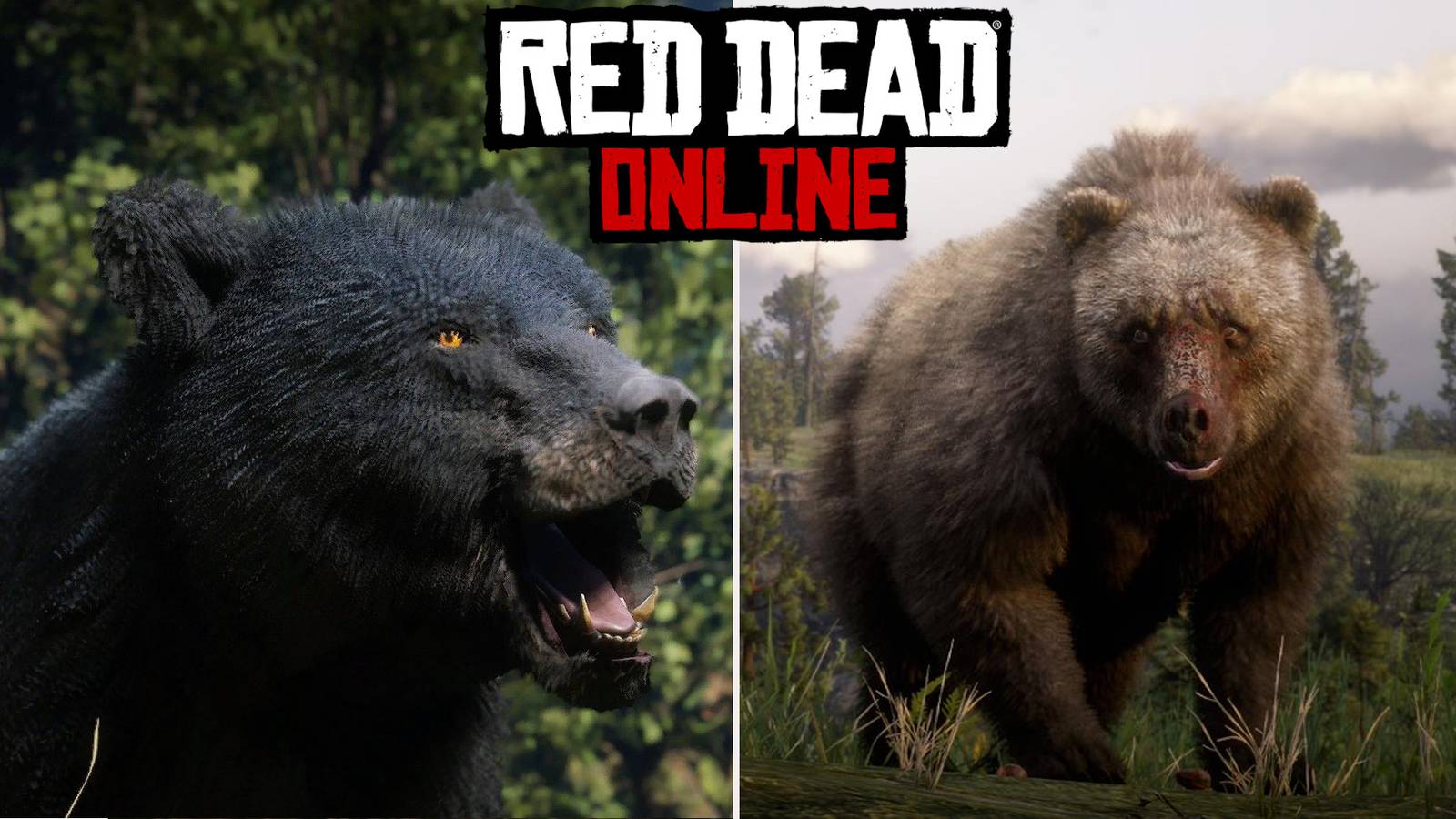 Where To Find Bears In Red Dead Online