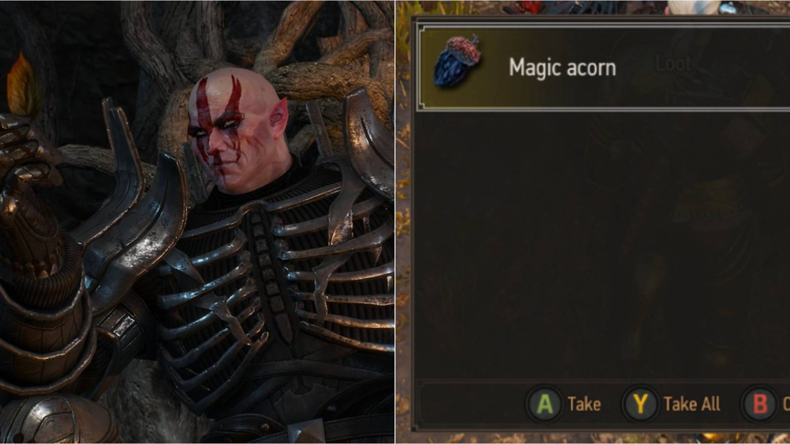 The Witcher 3: How To Get Magic Acorn And What It Does
