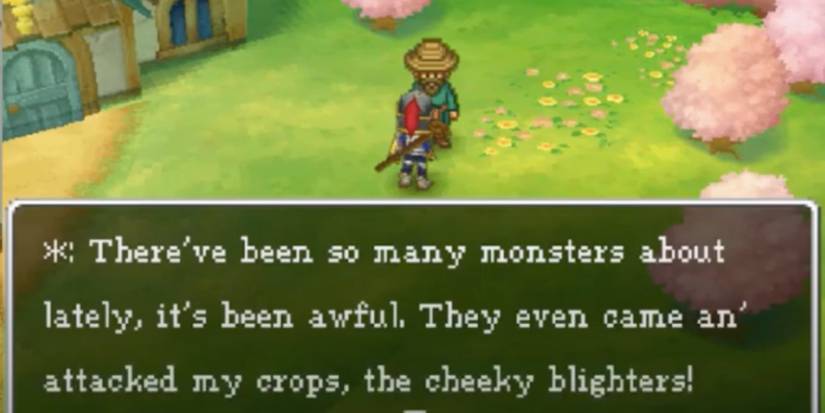 10 Best Side Quests In Dragon Quest 9