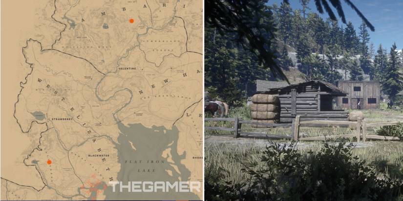 Where To Find Alaskan Ginseng In Red Dead Online