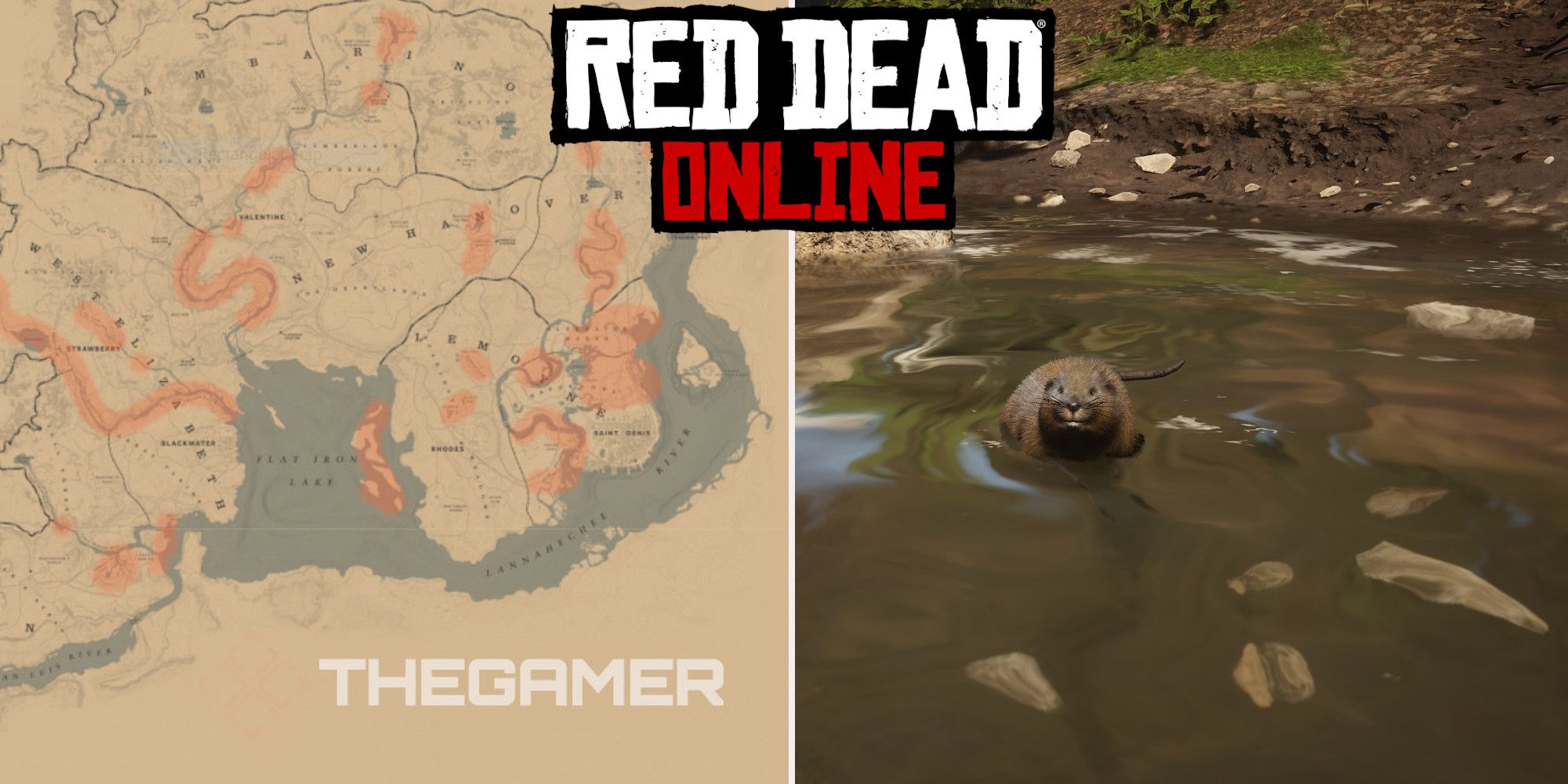 Where To Hunt For American Muskrat In Red Dead Online