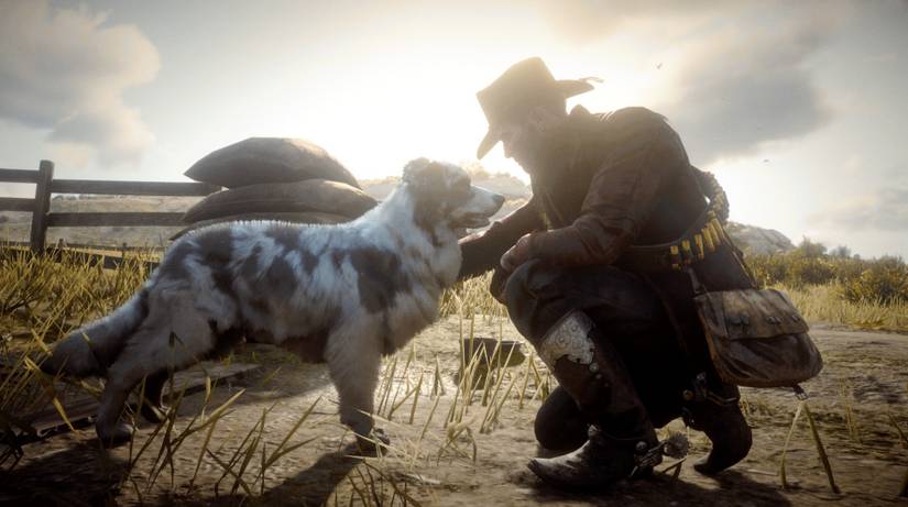Where To Find Dogs In Red Dead Online