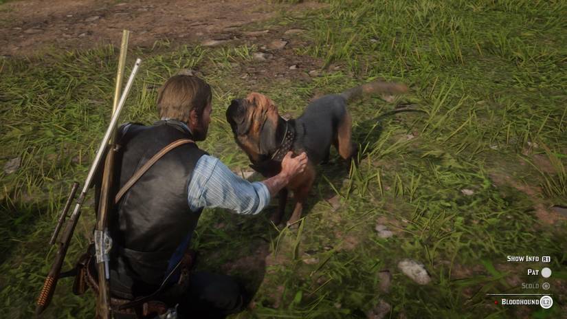 Where To Find Dogs In Red Dead Online