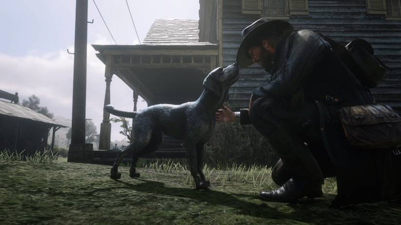 Where To Find Dogs In Red Dead Online