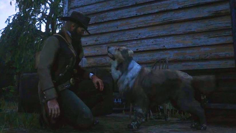 Where To Find Dogs In Red Dead Online