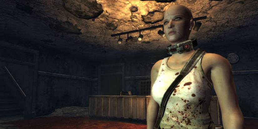 10 Things You Never Knew About Christine Royce In Fallout: NV
