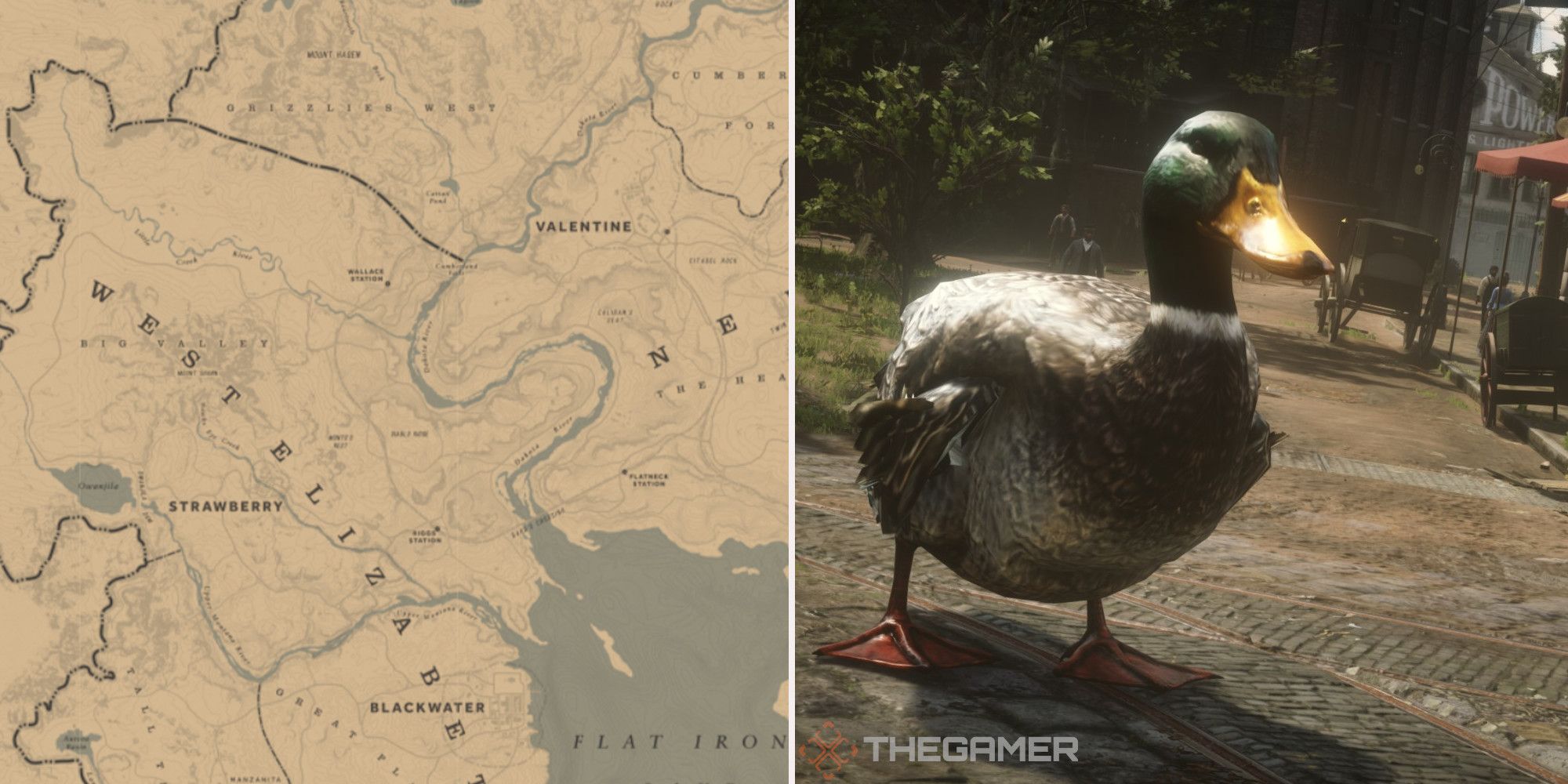 Where To Find Ducks In Red Dead Online