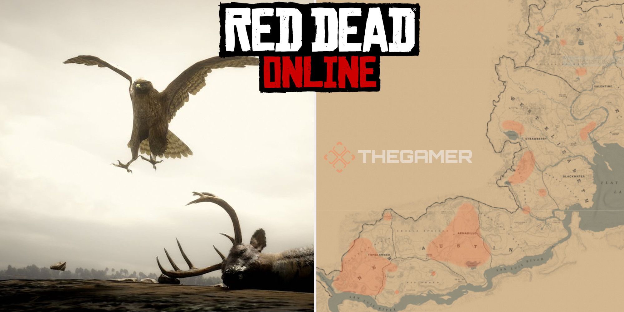Best Hawk Locations In Red Dead Online
