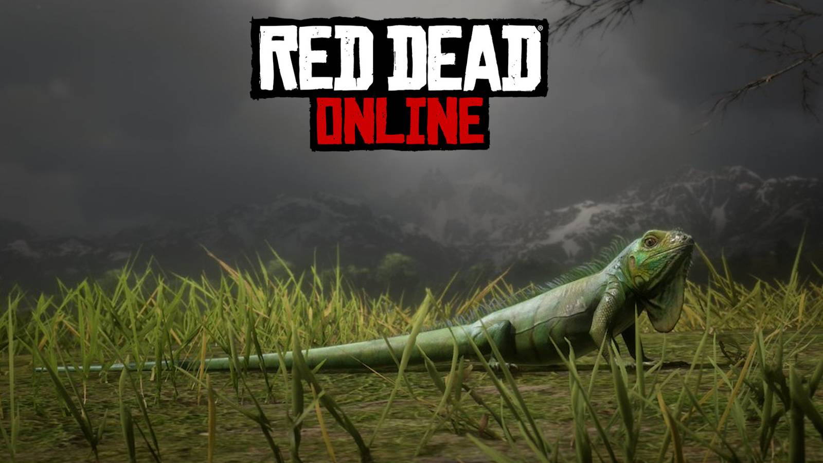 Red Dead Online: Best Iguana Hunting Locations