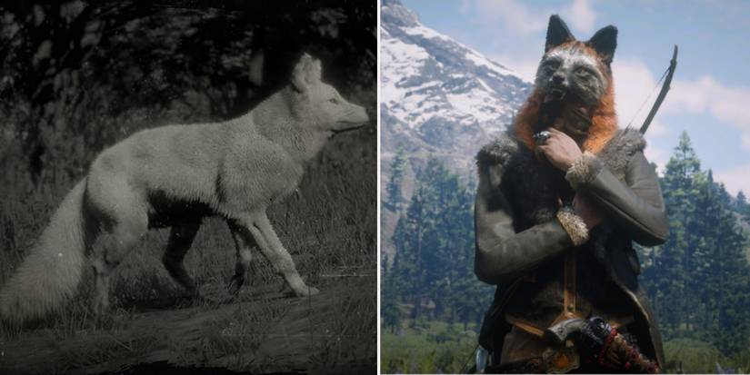 Red Dead Online: Best Fox Hunting Locations