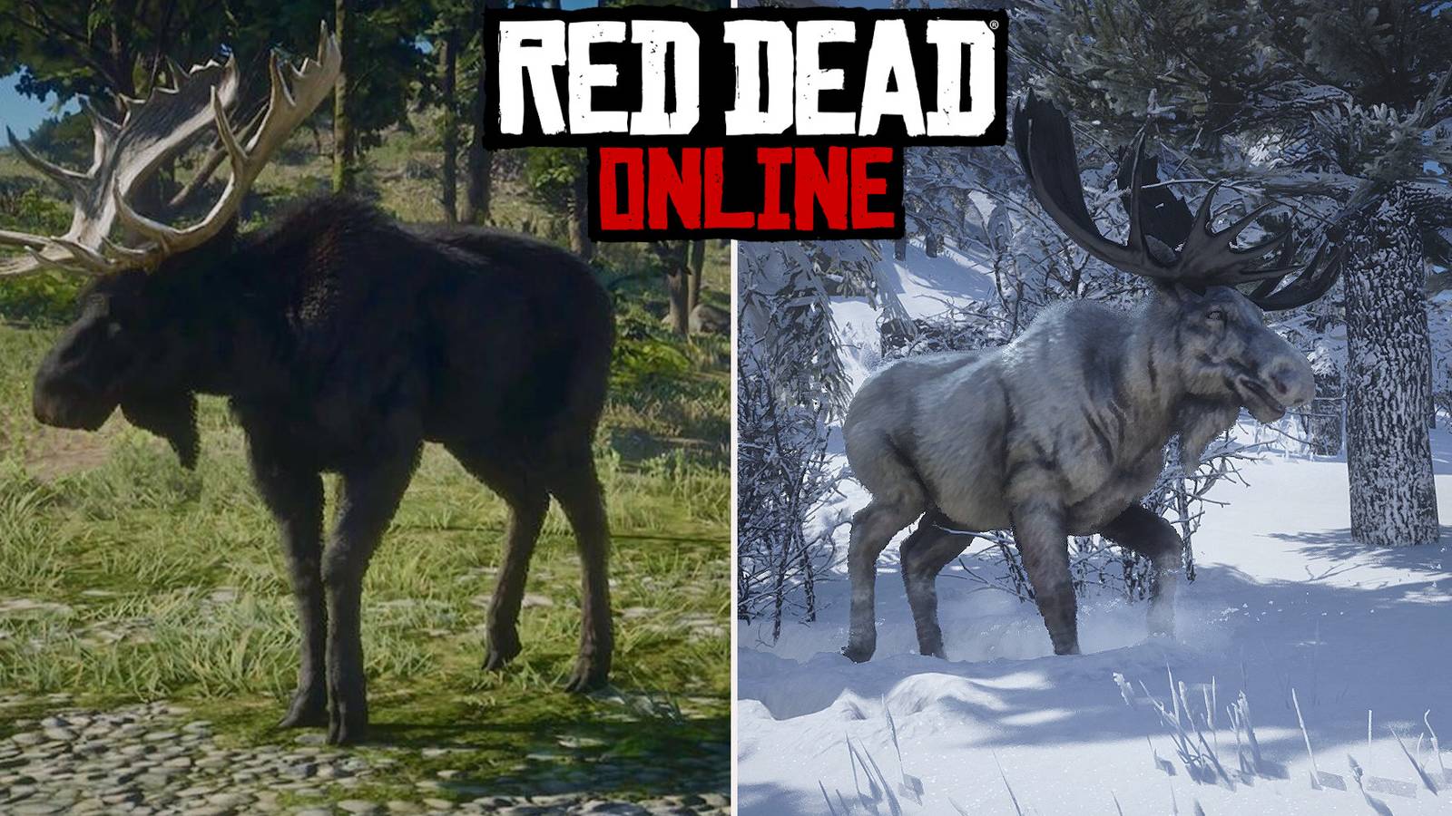 Red Dead Online: Best Moose Hunting Locations