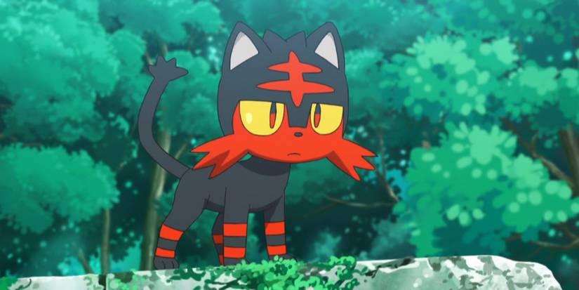 The Best Tiger Pokemon