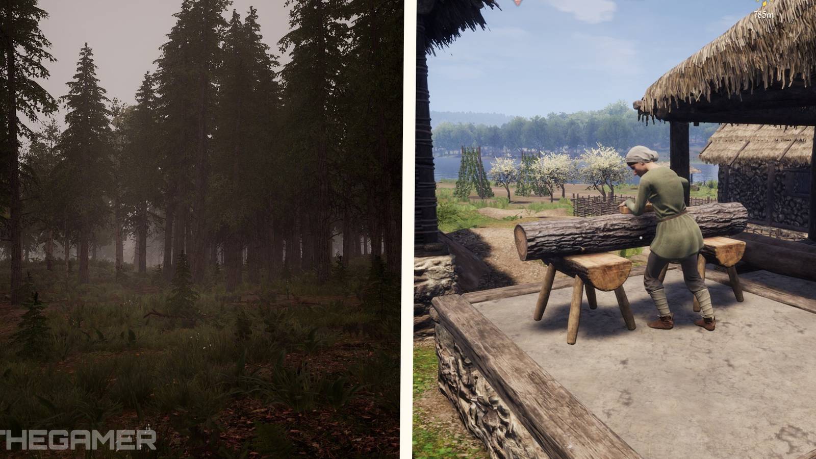 Medieval Dynasty: Do Trees Grow Back?