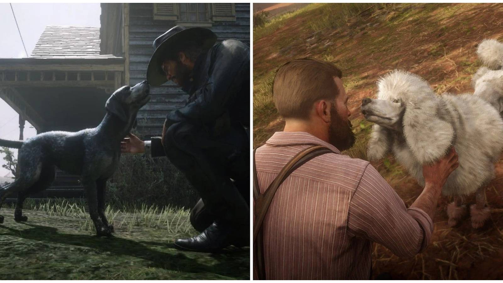 Where To Find Dogs In Red Dead Online