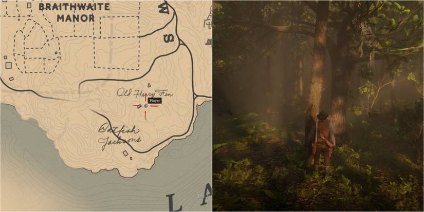 How To Find Every Night Scented Orchid In Red Dead Redemption 2