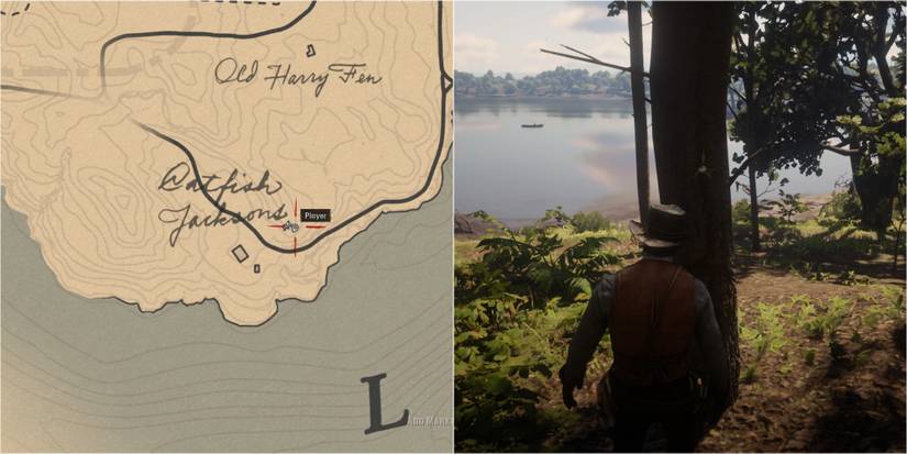 How To Find Every Night Scented Orchid In Red Dead Redemption 2