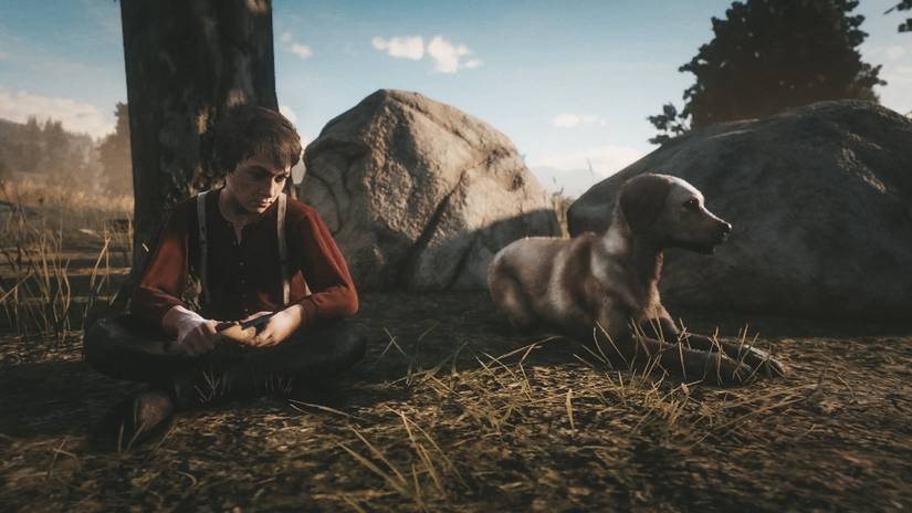 Where To Find Dogs In Red Dead Online
