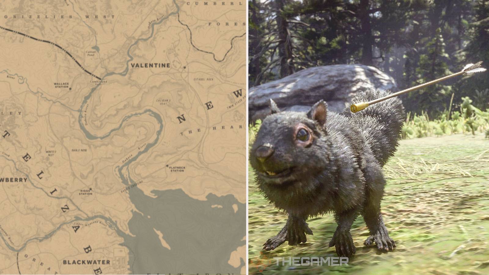 Red Dead Online: Best Squirrel Hunting Locations