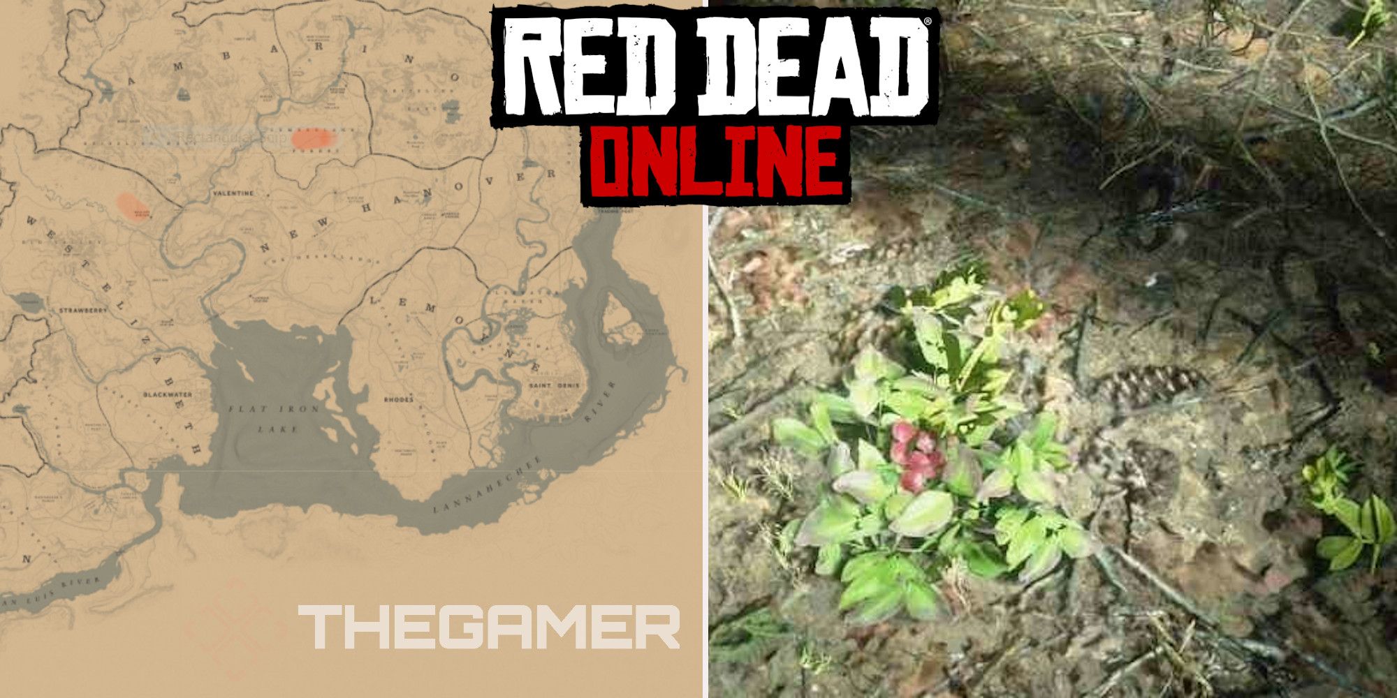 Red Dead Online: Best Wintergreen Berry Locations