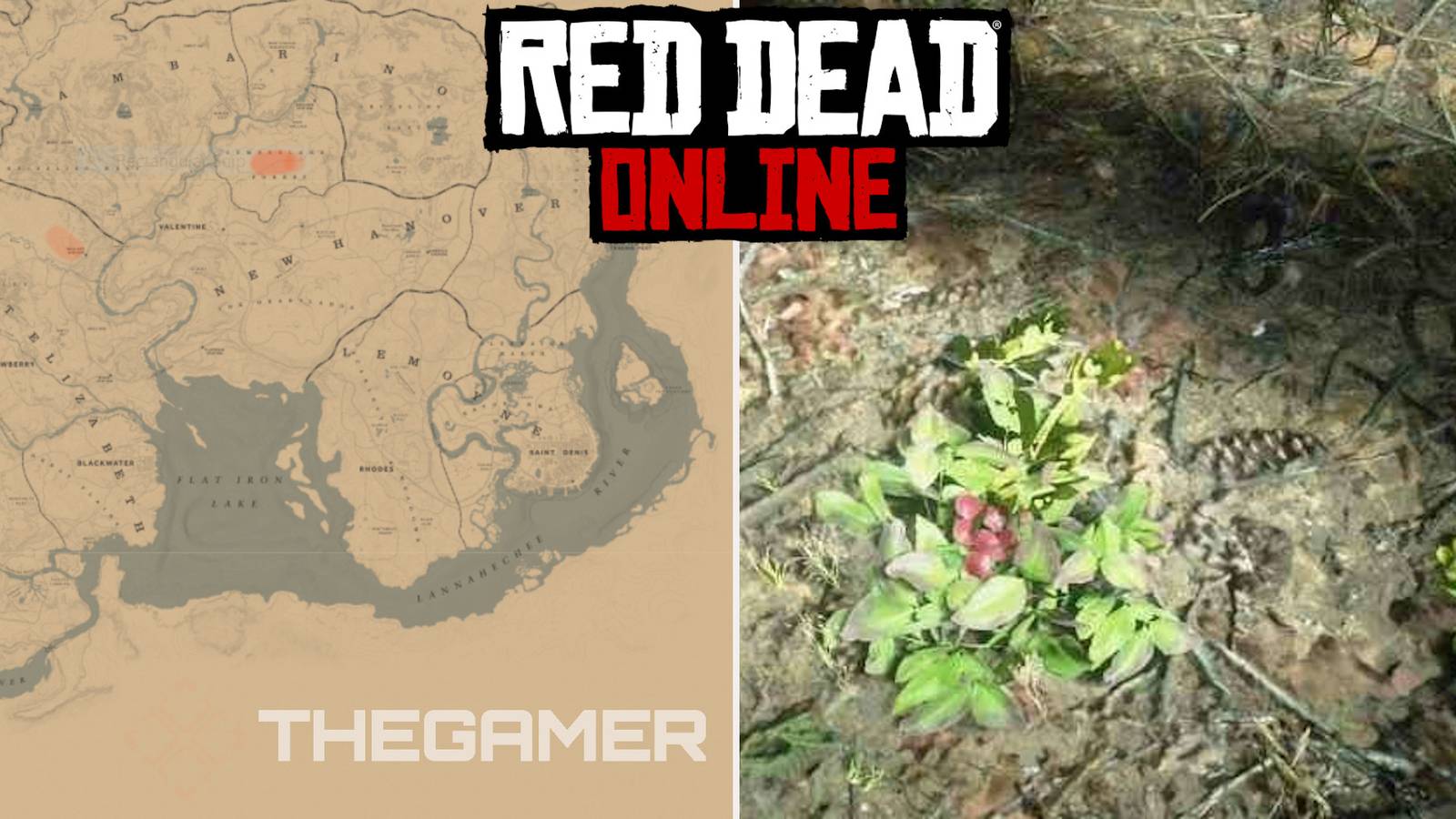 Red Dead Online: Best Wintergreen Berry Locations