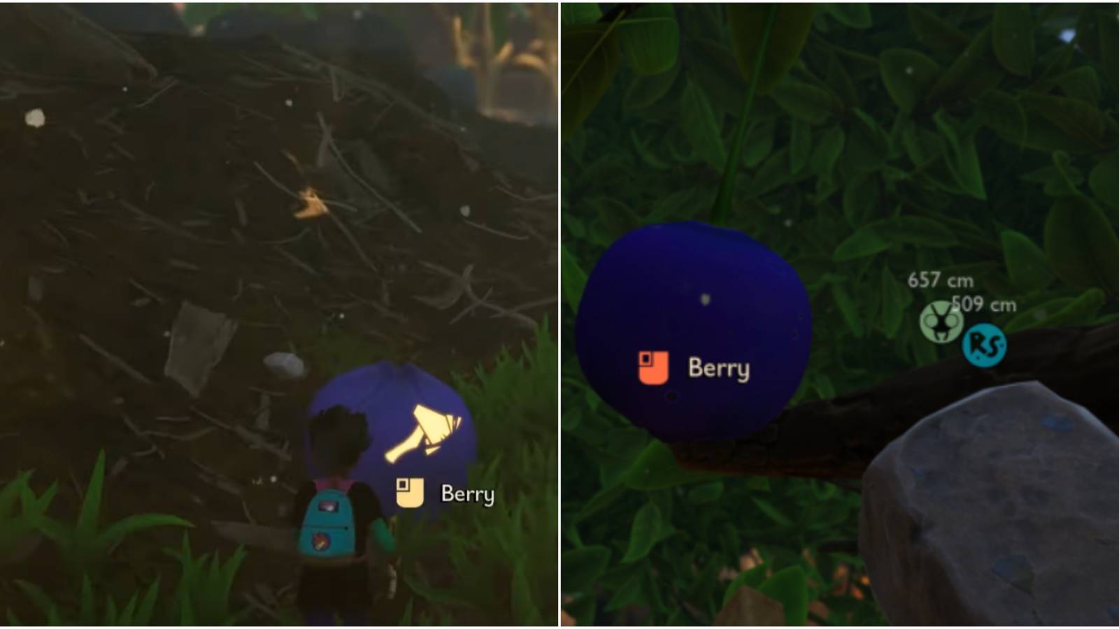 Grounded: Where To Get Berry Leather