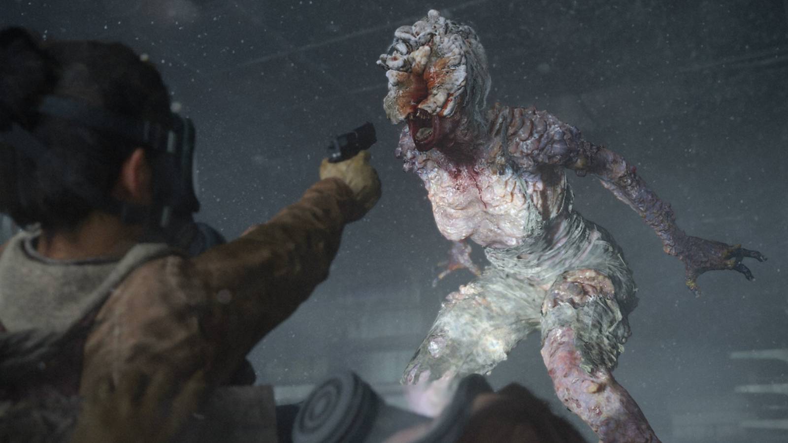 The Last Of Us Set Photos Show First Look At Cordyceps Infection