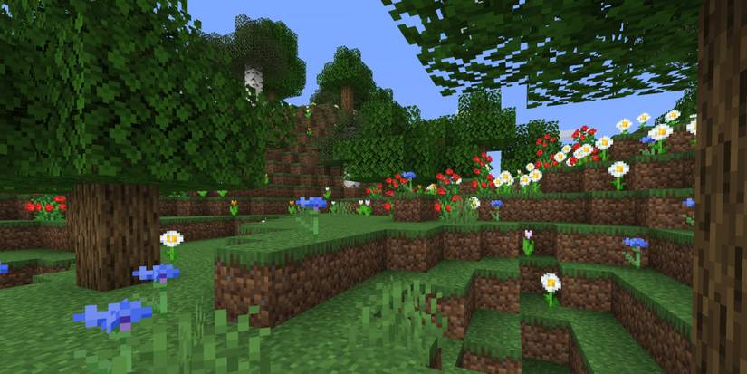 Best Minecraft Biomes For Early Game Bases