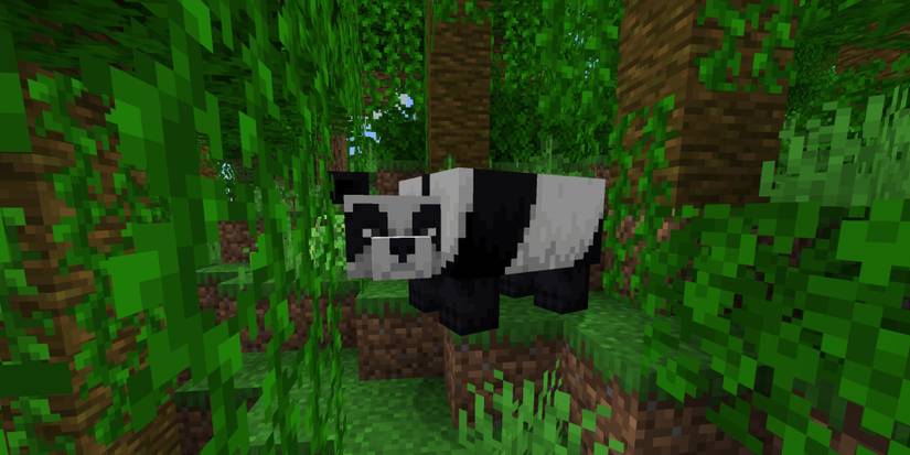 Minecraft: Rarest Mobs In The Game, Ranked
