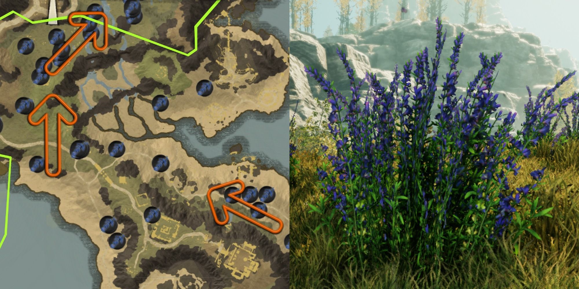 New World Complete Herb Guide