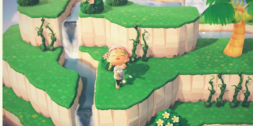 What You Can Do With Vines In AC:NH