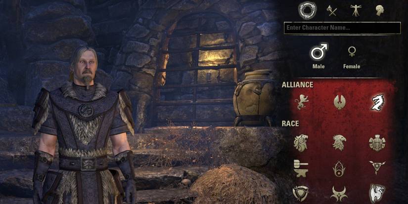 Beginner's Guide To The Elder Scrolls Online