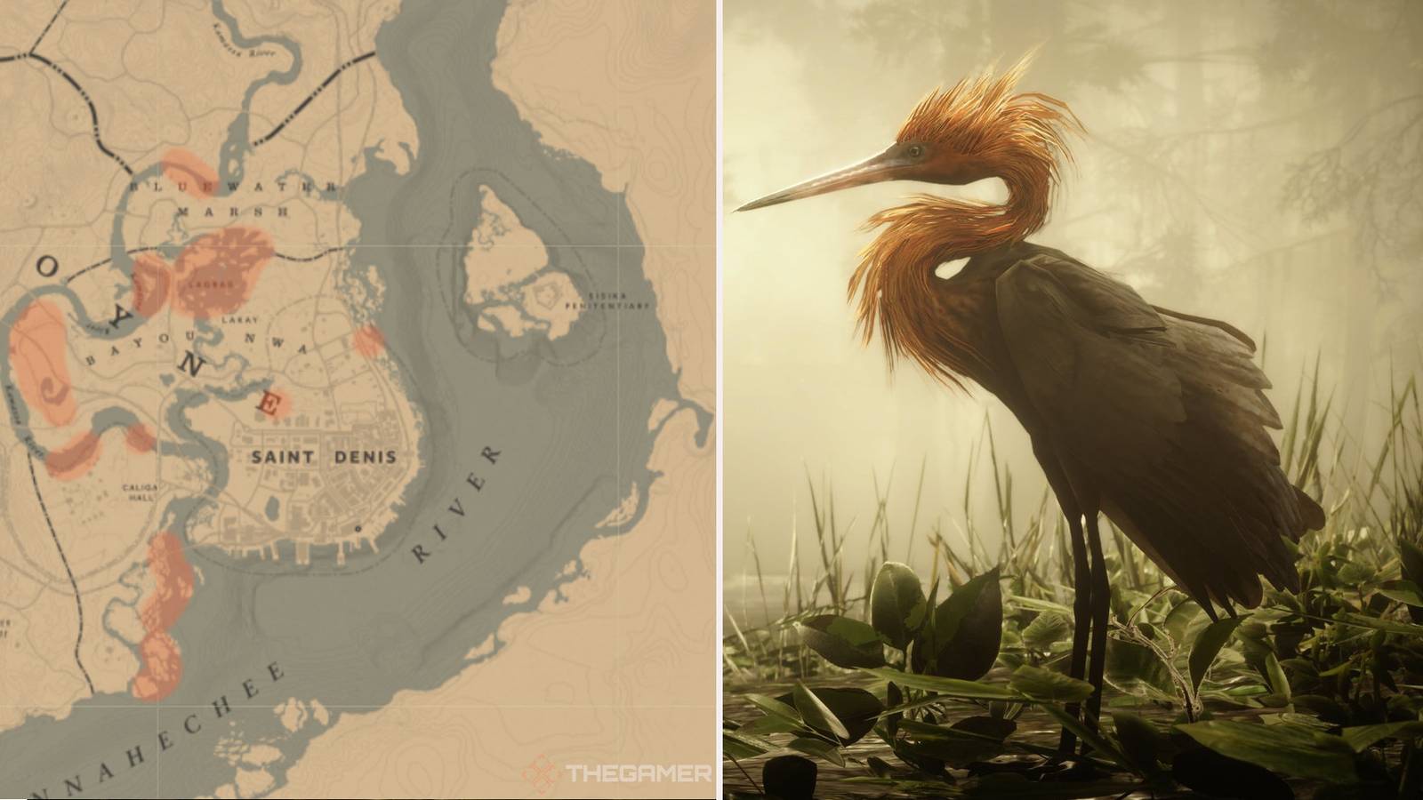 Where To Find Egrets In Red Dead Online