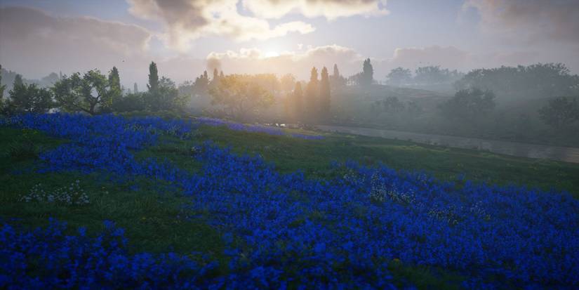 Assassin's Creed Valhalla: Everything You Need To Know Before Playing ...