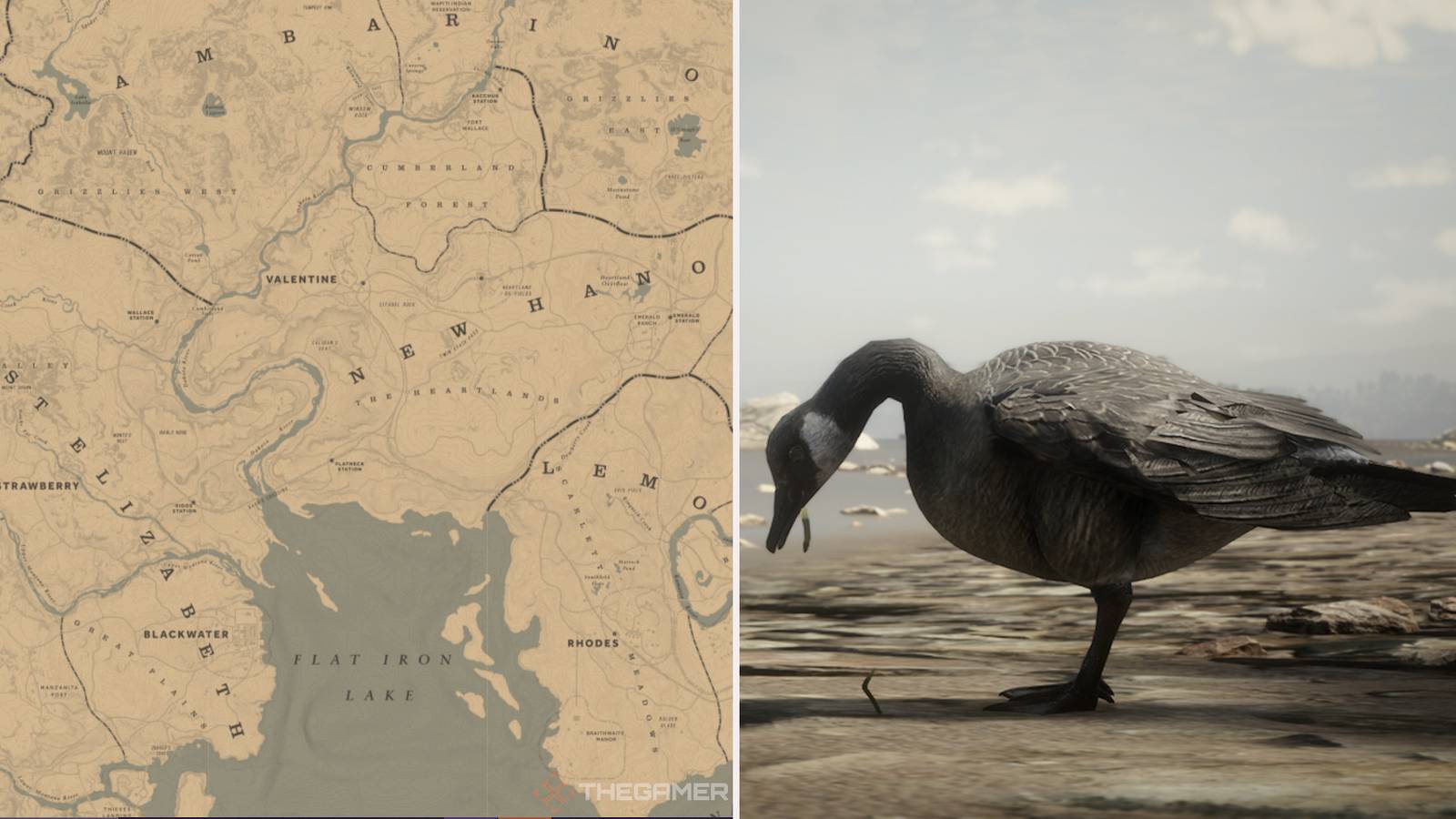 Red Dead Online: Best Geese Hunting Locations