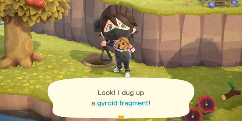 How To Get All Gyroids In AC:NH