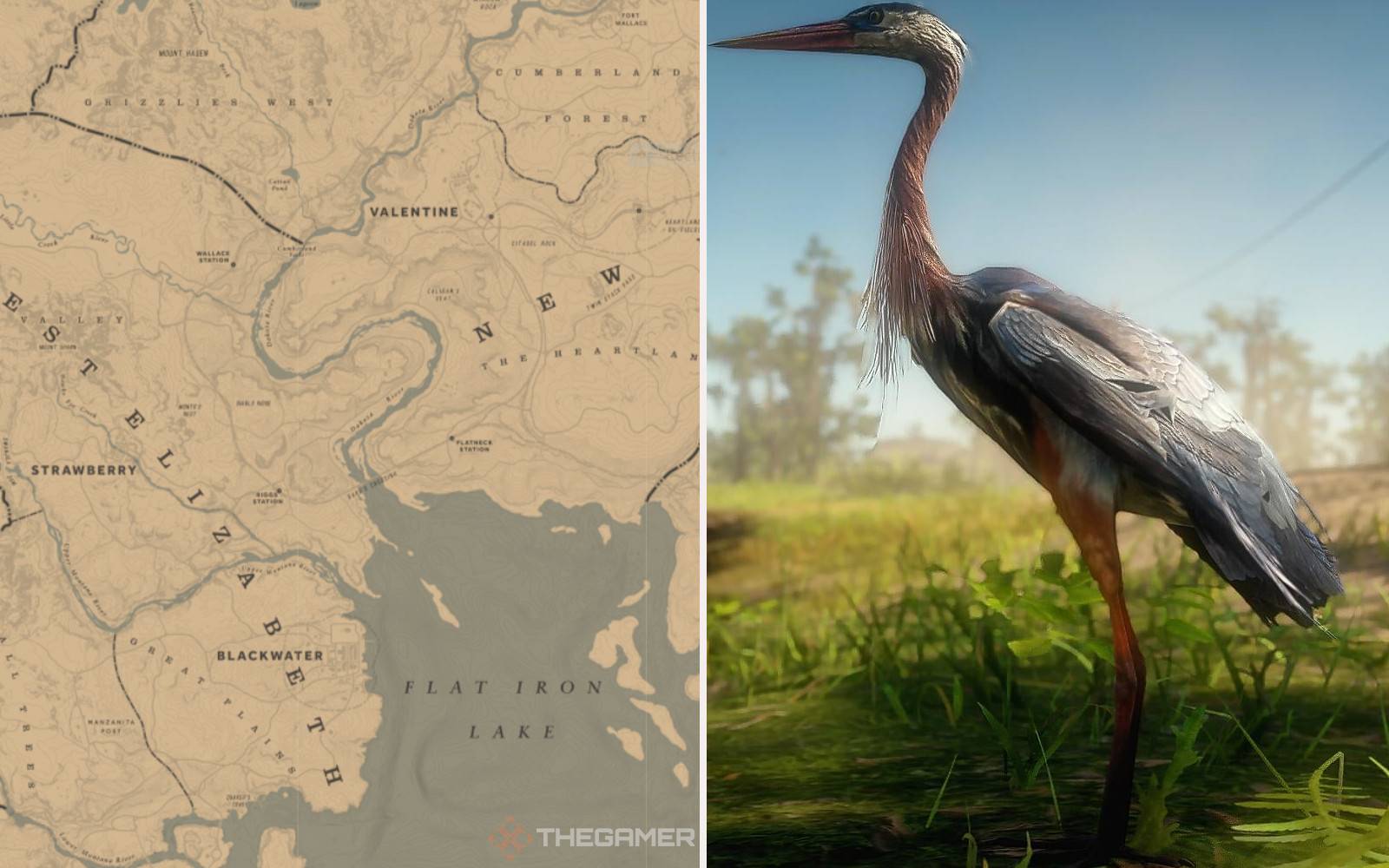 Flight feather rdr2 - Xalam.blog