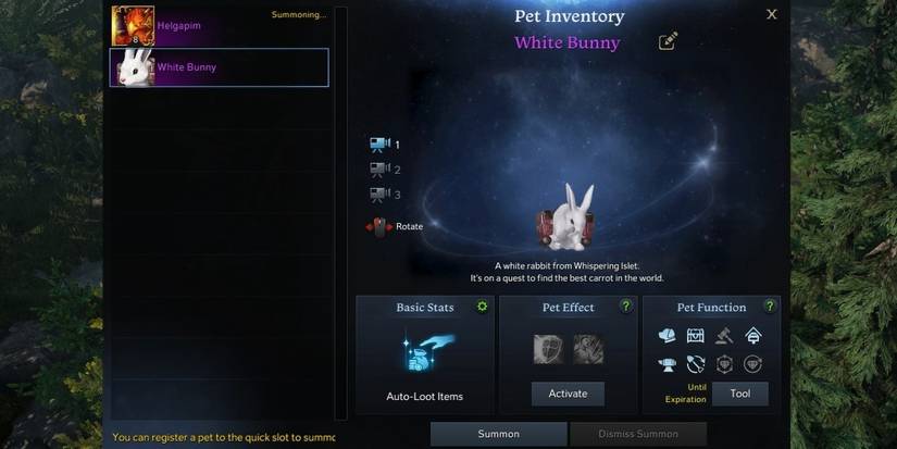Lost Ark Pet Guide