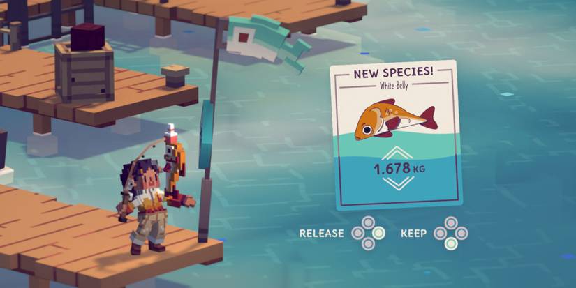 Every Fish Location In Moonglow Bay