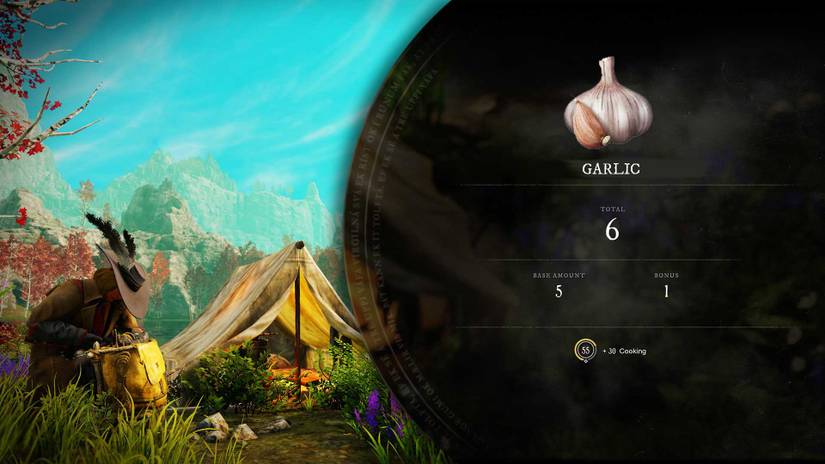 New World: Rarest Cooking Ingredients And Where To Find Them