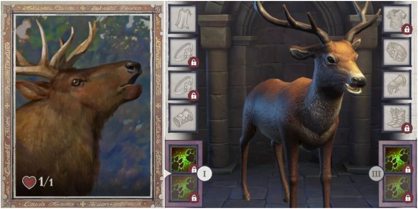 Pathfinder: Wrath Of The Righteous - What Is The Best Animal Companion?