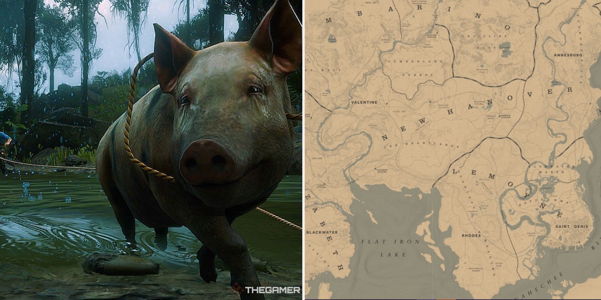 Where To Find Pigs In Red Dead Online