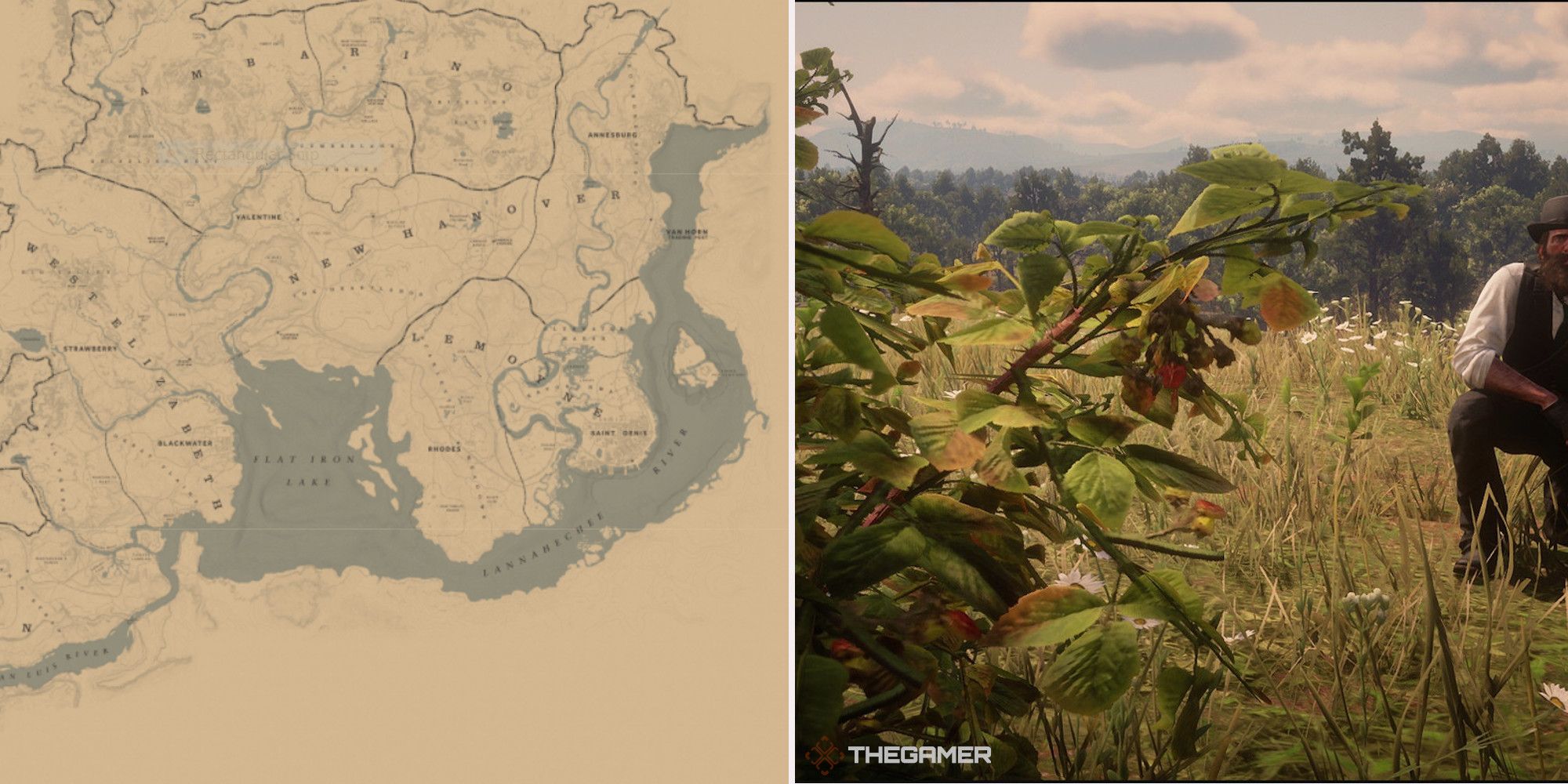 RDO: Best Raspberry Gathering Locations