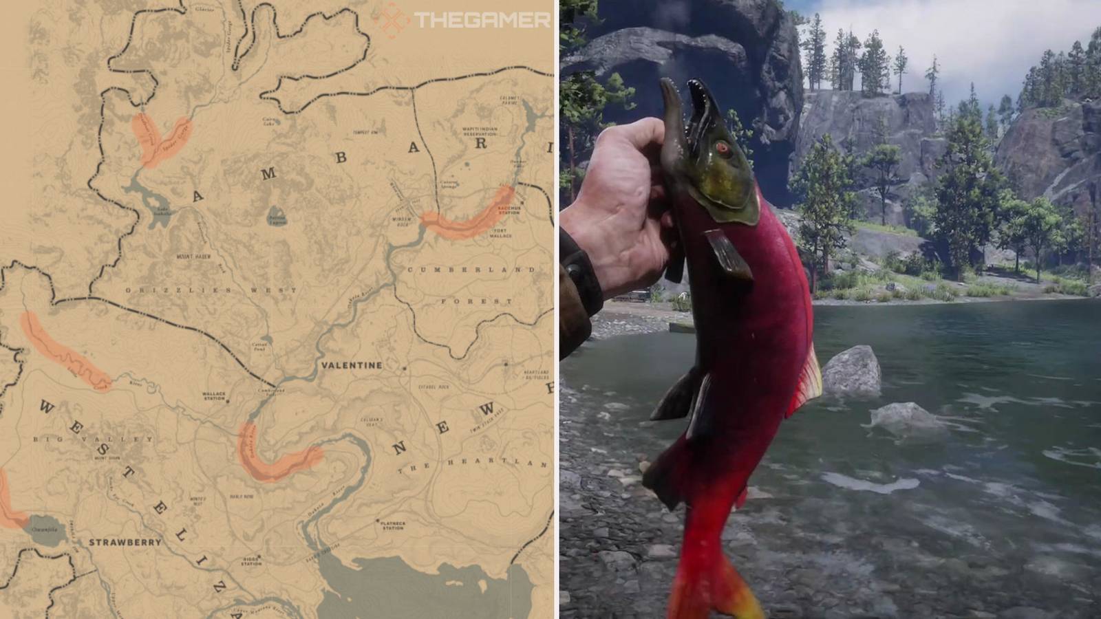 Where To Find Sockeye Salmon In Red Dead Online