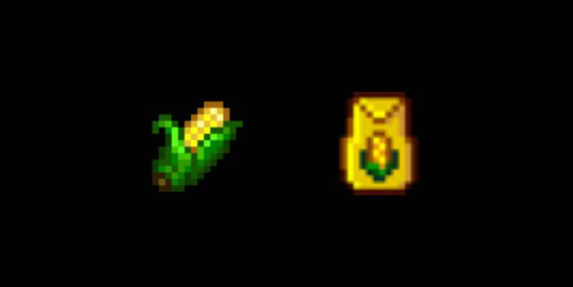 corn crops stardew