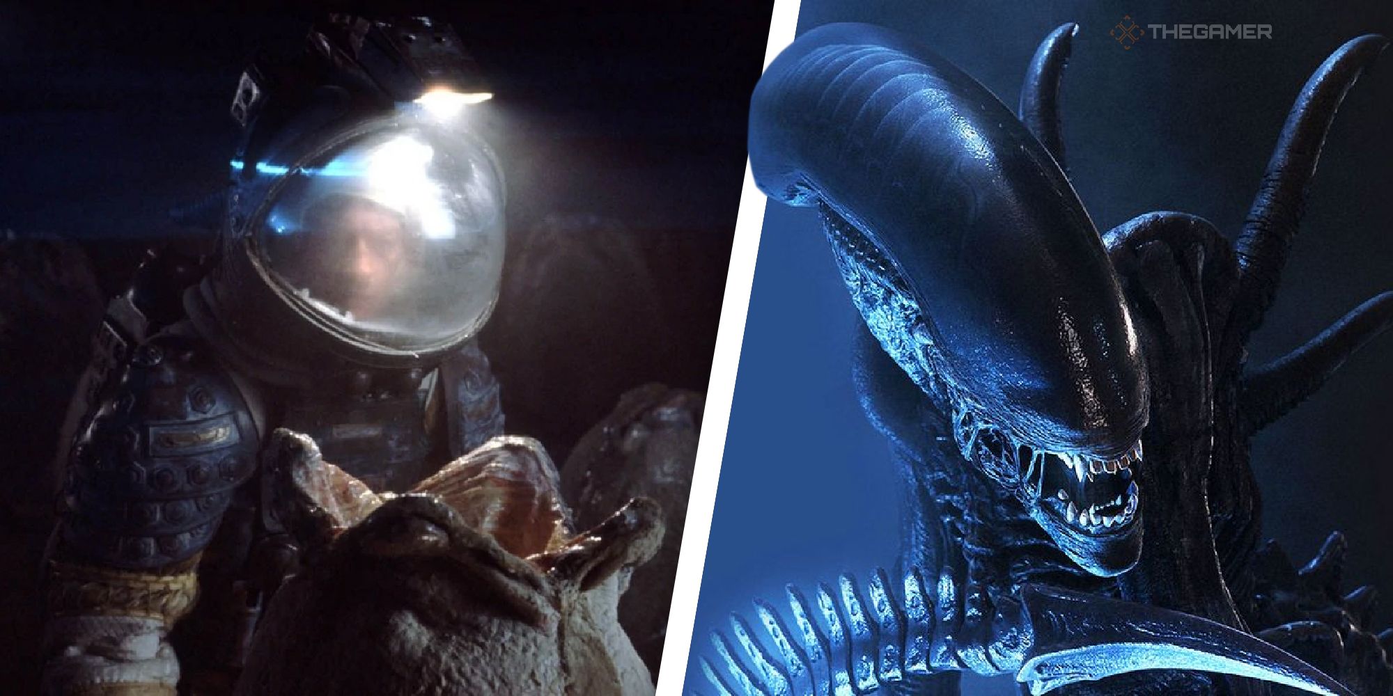 Alien: Xenomorph Life Cycle, Explained