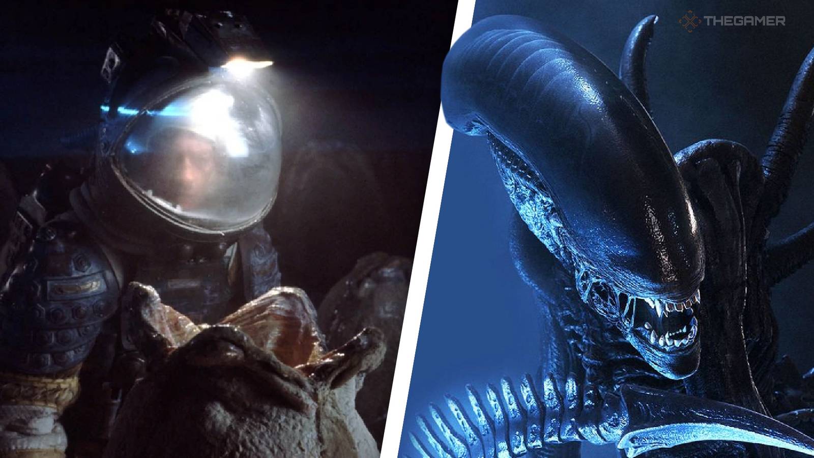 Alien: Xenomorph Life Cycle, Explained